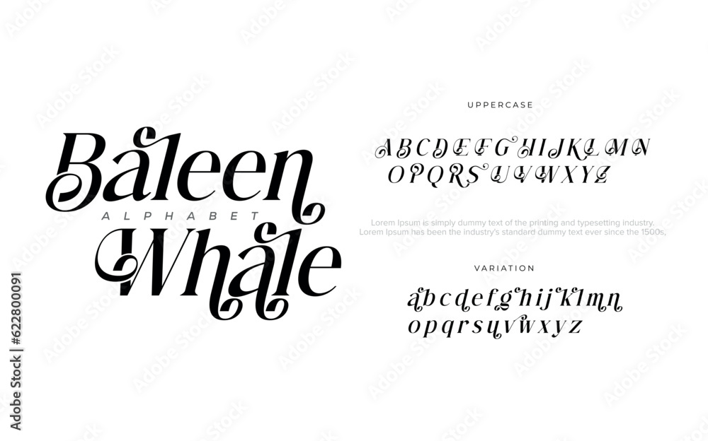 Elegant Font Uppercase Lowercase and Number. Classic Lettering Minimal ...