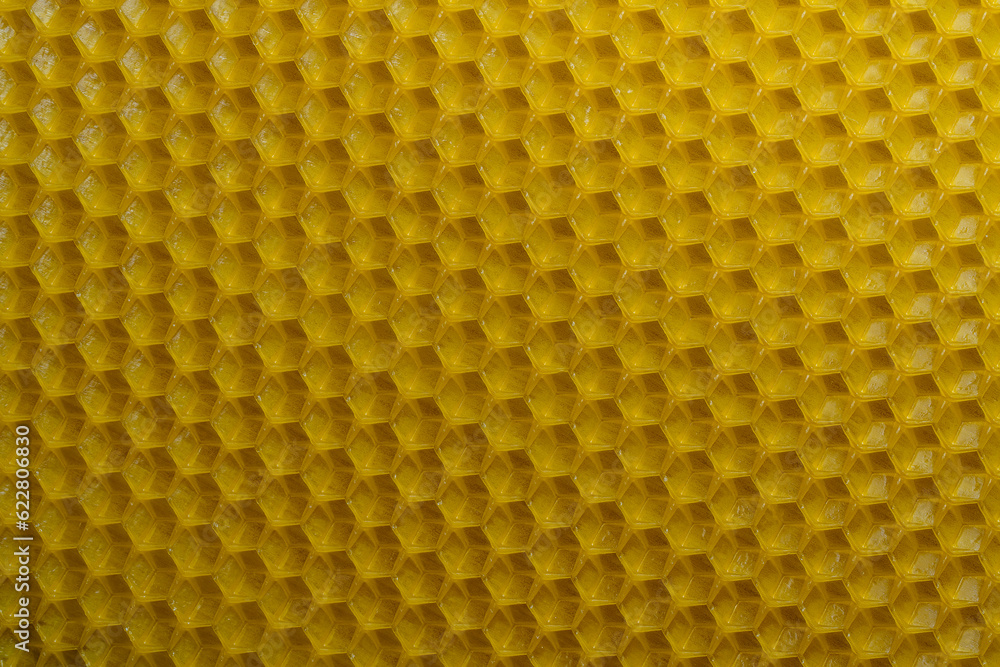 Background texture and pattern of section voshchina of wax honeycomb ...