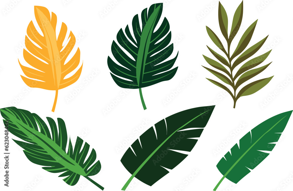 tropical leaves set vector illustration Stock Vector | Adobe Stock