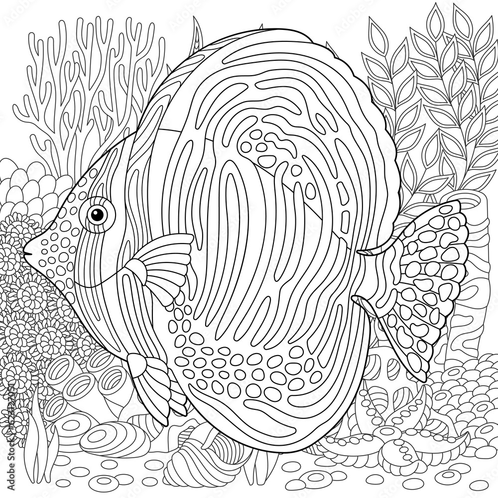 Sailfin tang fish coloring page. Outline sea design in mandala and ...