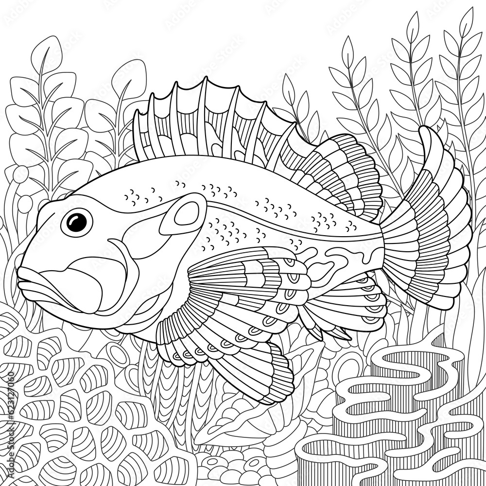 Ruffe fish coloring page. Outline sea design in mandala and zentangle ...