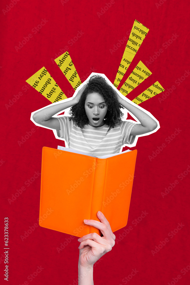 Collage 3d pinup pop retro sketch image of impressed lady reading ...