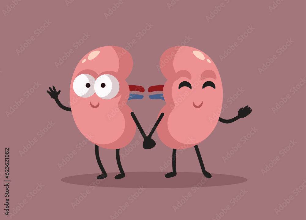 Happy Kidneys Holding Hands Vector Cartoon Characters. Cheerful ...