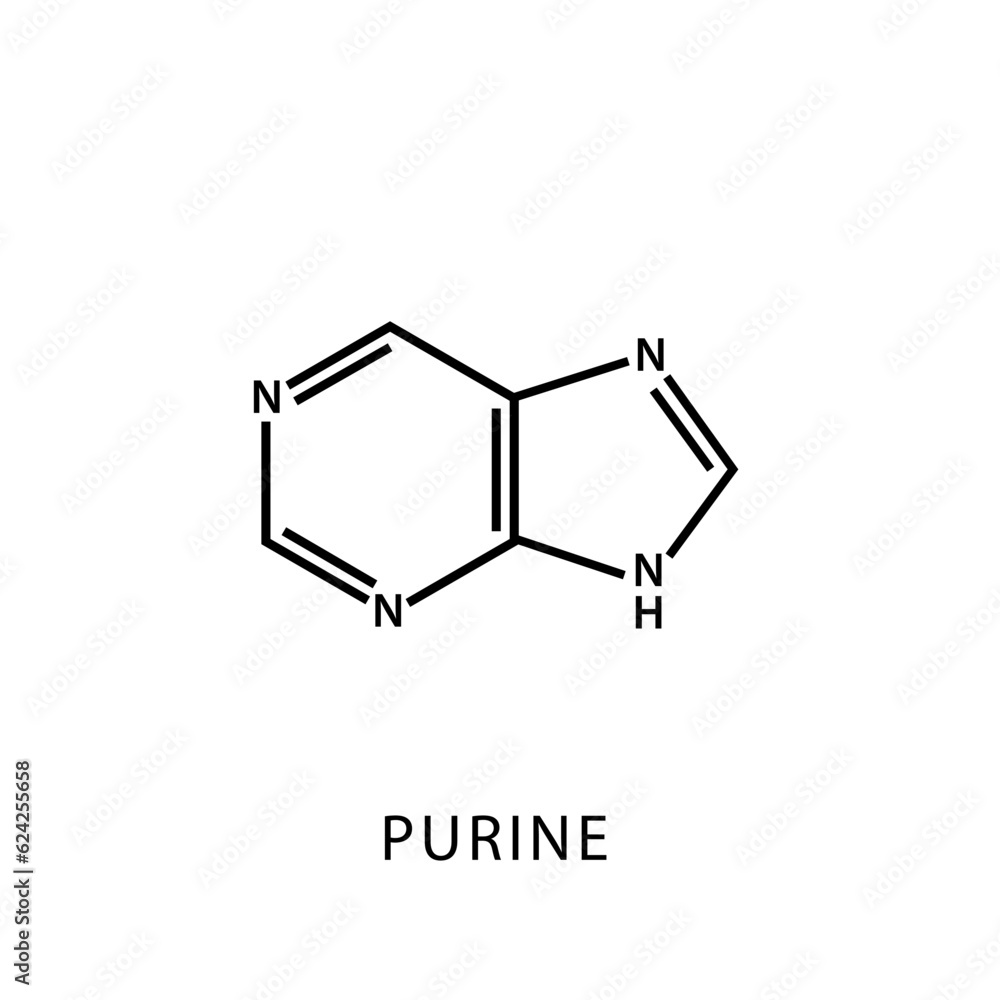 Purine Structure chemical formula types and properties Stock Vector ...