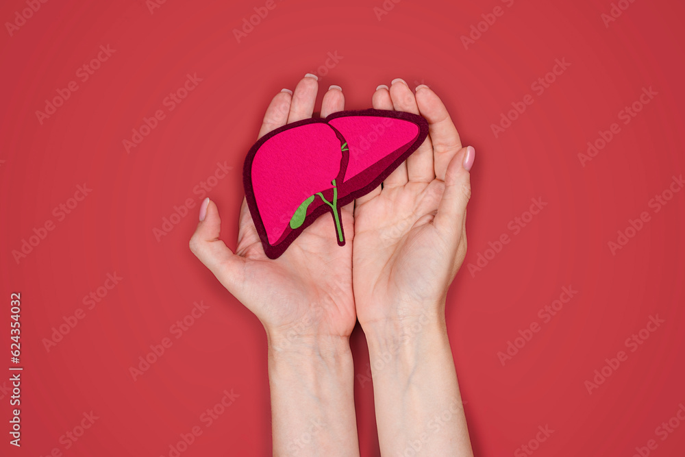 Hands holding Human Liver organ and pills. World hepatitis day ...