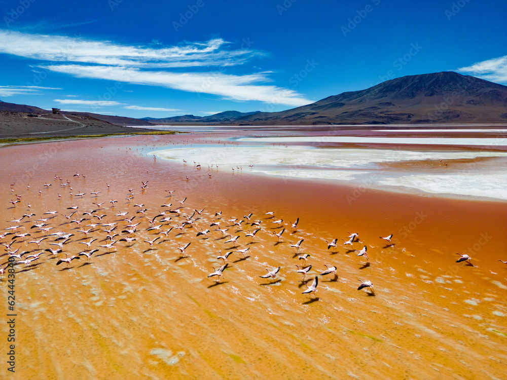 Aerial view of flamingos in the colorful Laguna Colorada in the remote ...