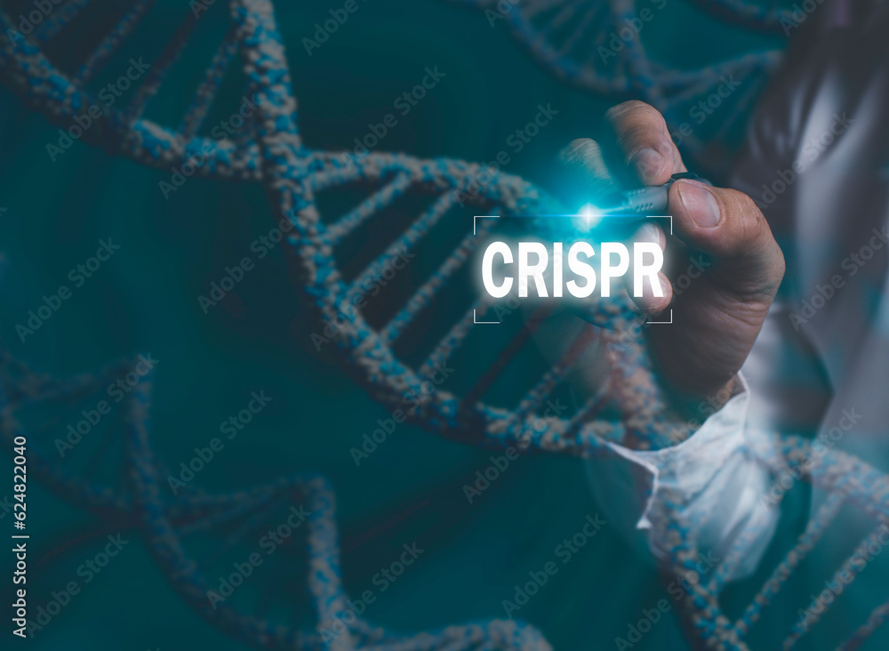 Scientist using pen touch icon CRISPR, genetically modified DNA, blue ...