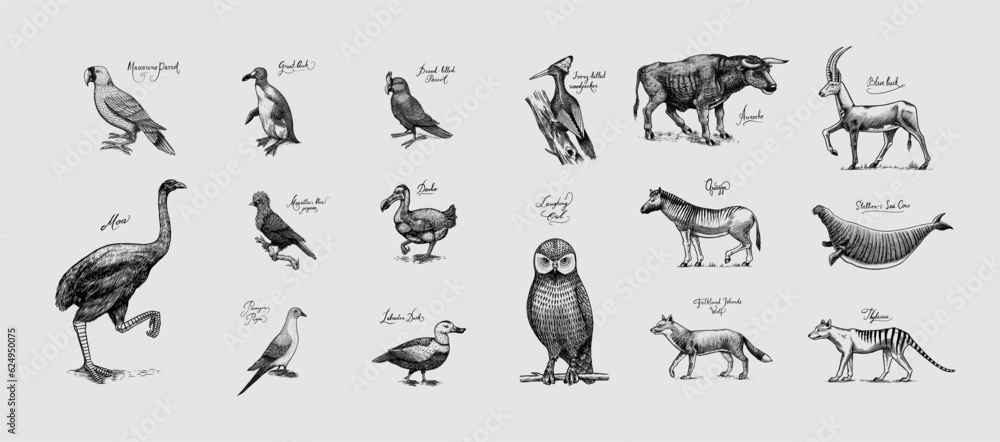 Extinct species. Wild mammal animals and birds. Dodo, Moa, Tasmanian ...