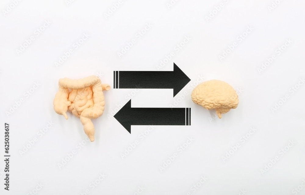 The Gut-Brain Axis. A two-way biochemical signaling that takes place ...
