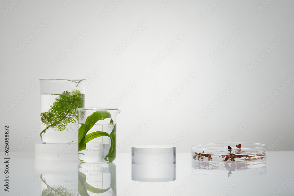 Glass petri dish, beakers and a round podium are decorated against ...