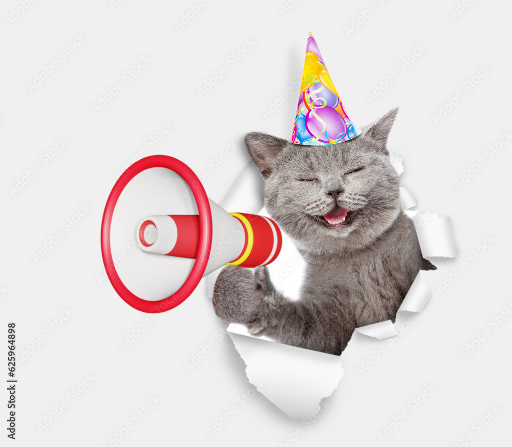 Happy cat wearing party cap screaming into a megaphone and looks ...