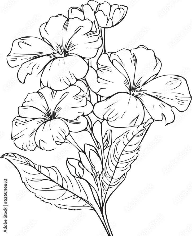 Easy yellow primrose drawing, Beautiful Oenothera tetrap drawing with ...