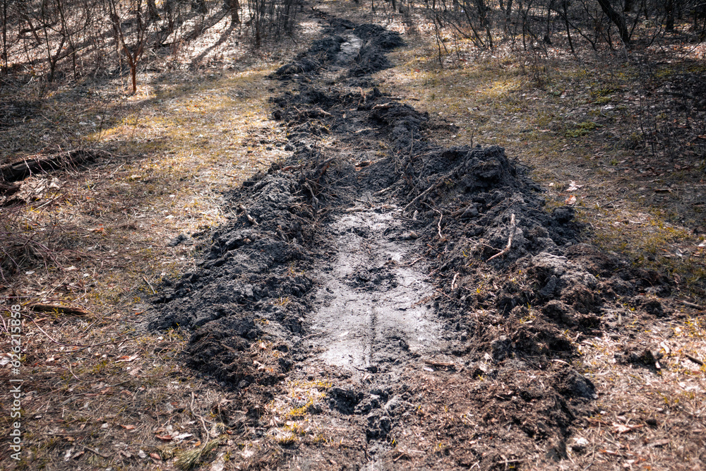 Strip of broken ground. Something heavy was dragged through the forest ...