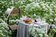English Garden Tea Time Free Stock Photo - Public Domain Pictures