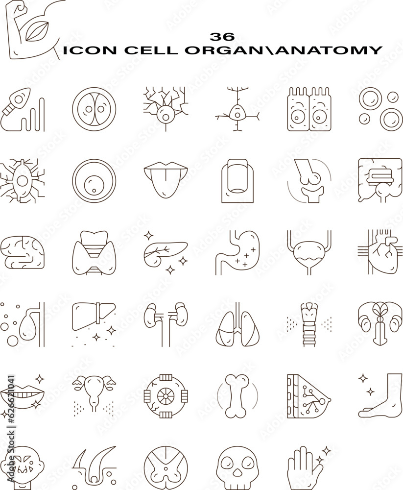Organ, anatomy flat line icon set. Human bones, stomach, brain, heart ...