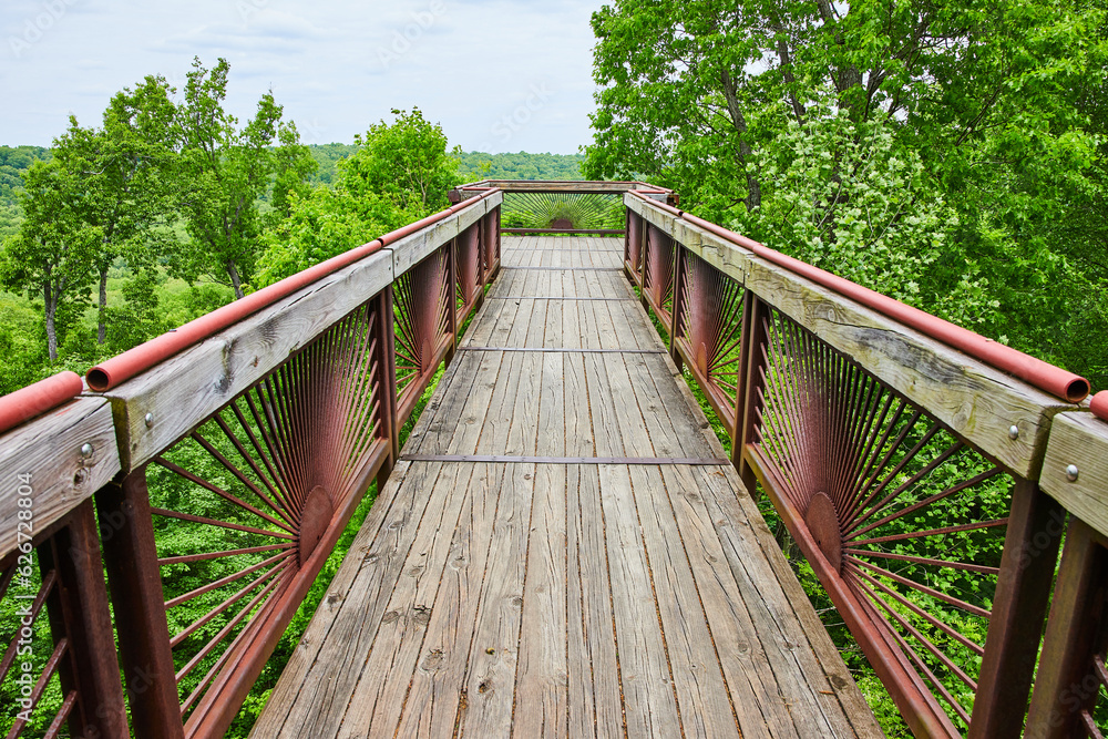 Crisp view of tree top boardwalk bridge overlooking forest area with ...