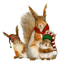 Christmas Squirrel Art Free Stock Photo - Public Domain Pictures