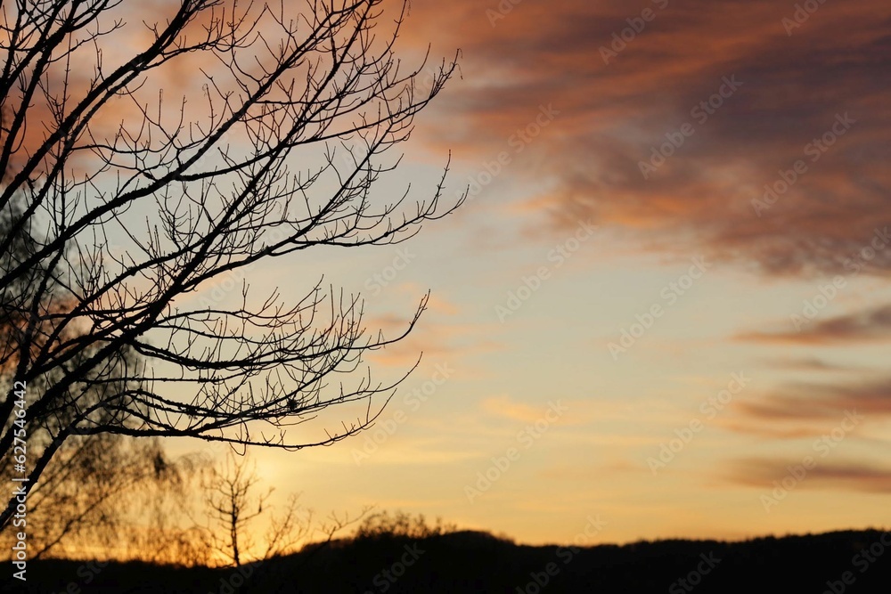 Beautiful Landscape Background Sky Clouds Sunset Oil Painting View ...