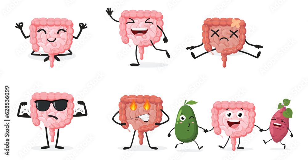 Cartoon intestine gut, set of Cute characters, Isolated on white ...