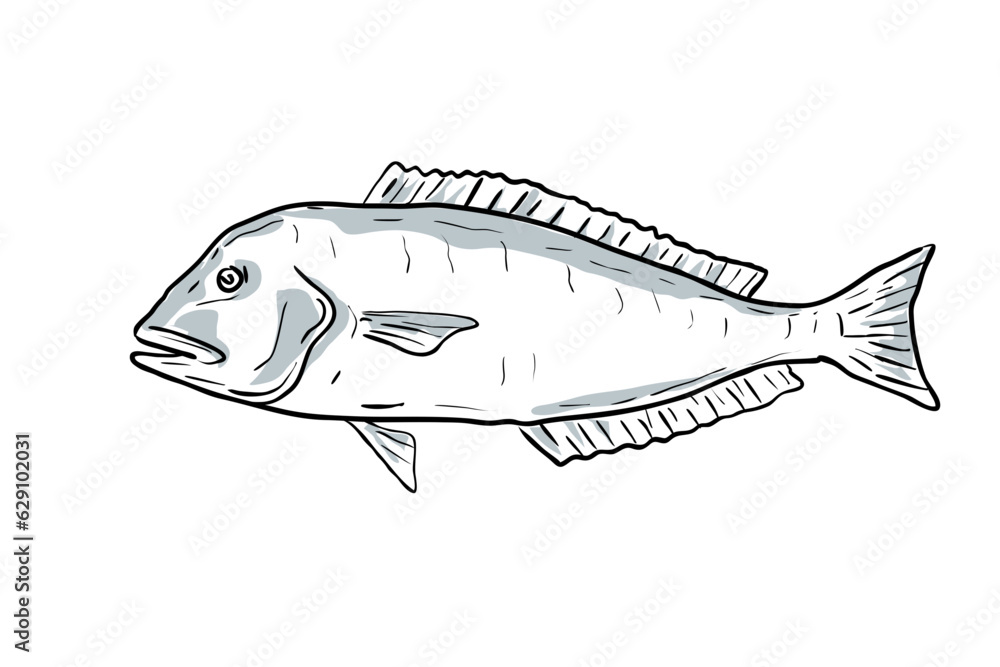 Cartoon style drawing sketch illustration of a Blueline Tilefish ...