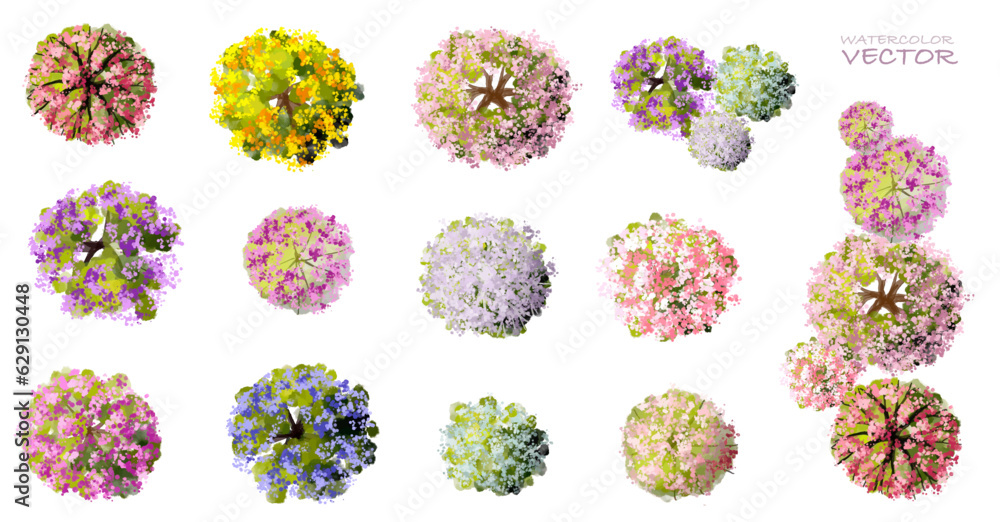 Vector watercolor of blooming tree top view isolated on white ...