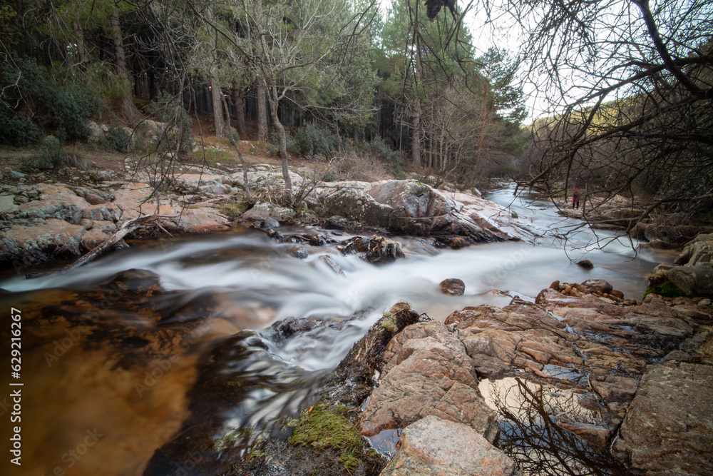 Fotografía de un sendero rodeado de rocas y vegetación: La imagen ...