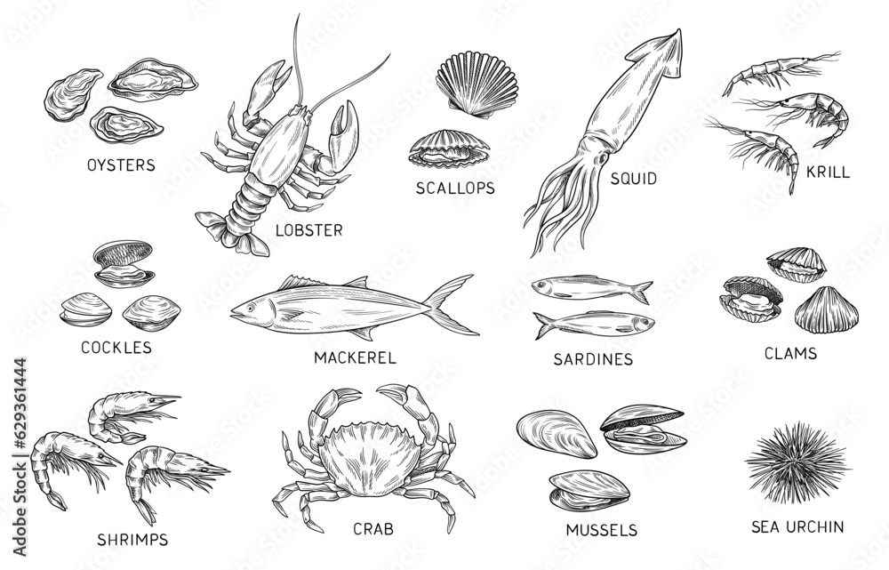 Seafood sketch set. Outline vintage ocean fish and mackerel, crab and ...