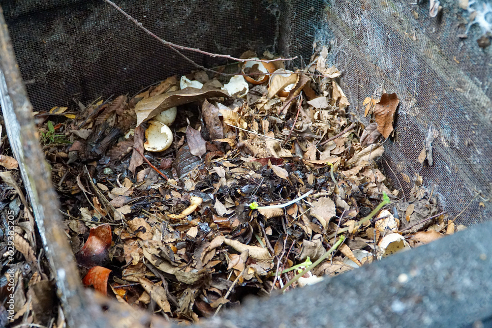 detailed close-up look into the interior of a compost bin, showcasing ...