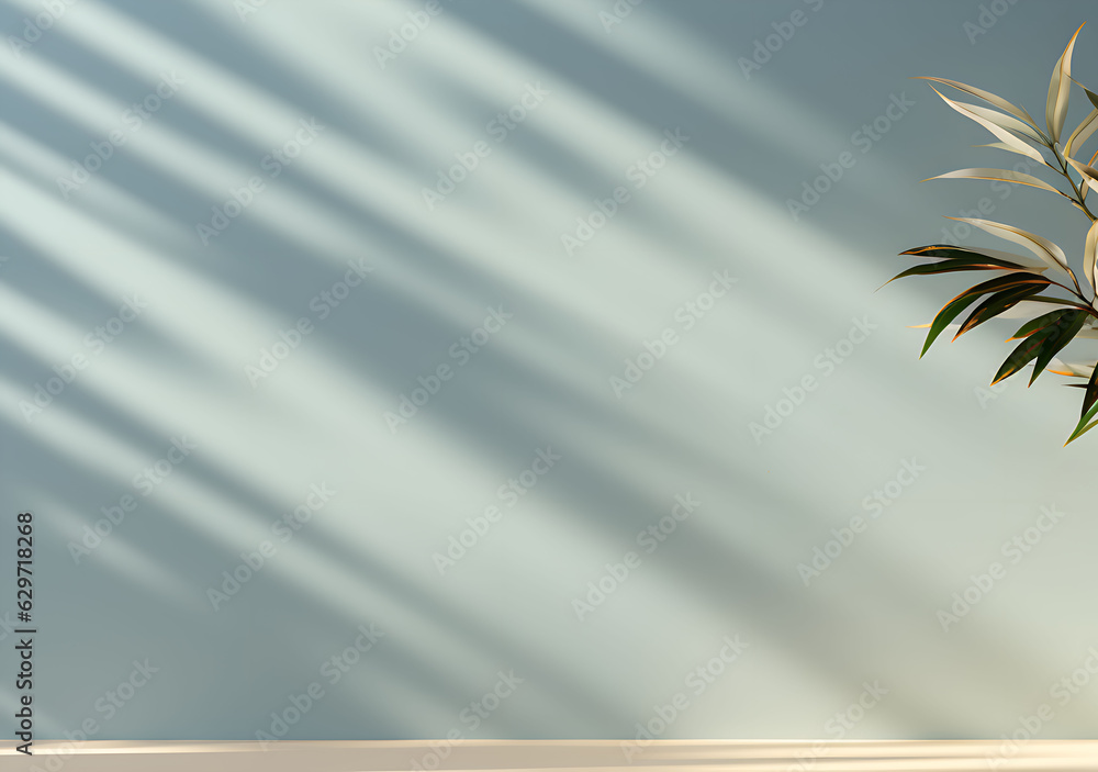 Shadow and light from plants in from the windows on the plaster wall ...