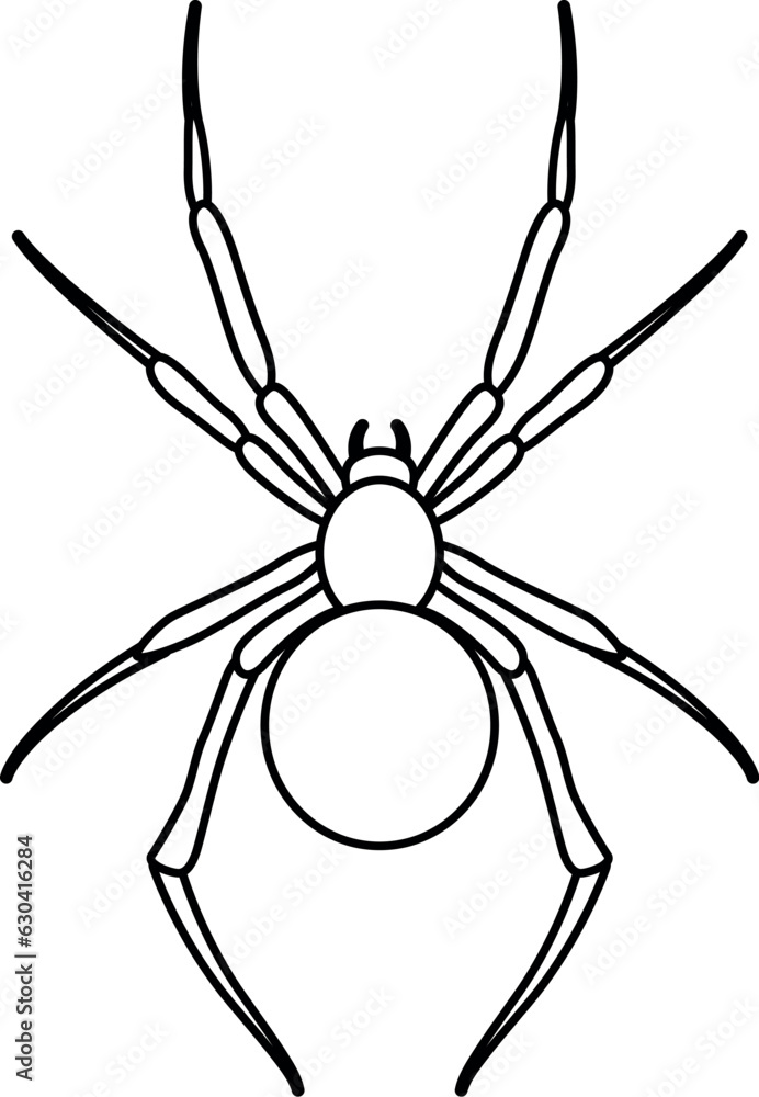 Spider SVG Cut File for Cricut and Silhouette, EPS Vector, PNG , JPEG ...