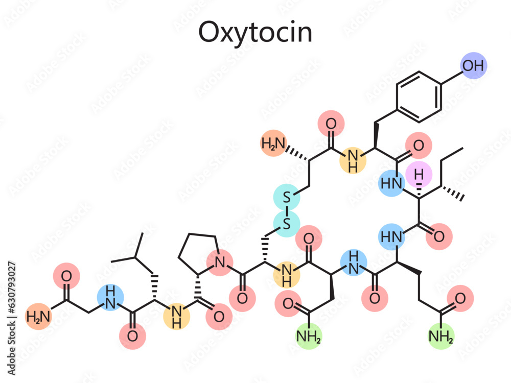 Chemical organic formula of oxytocin diagram schematic vector ...
