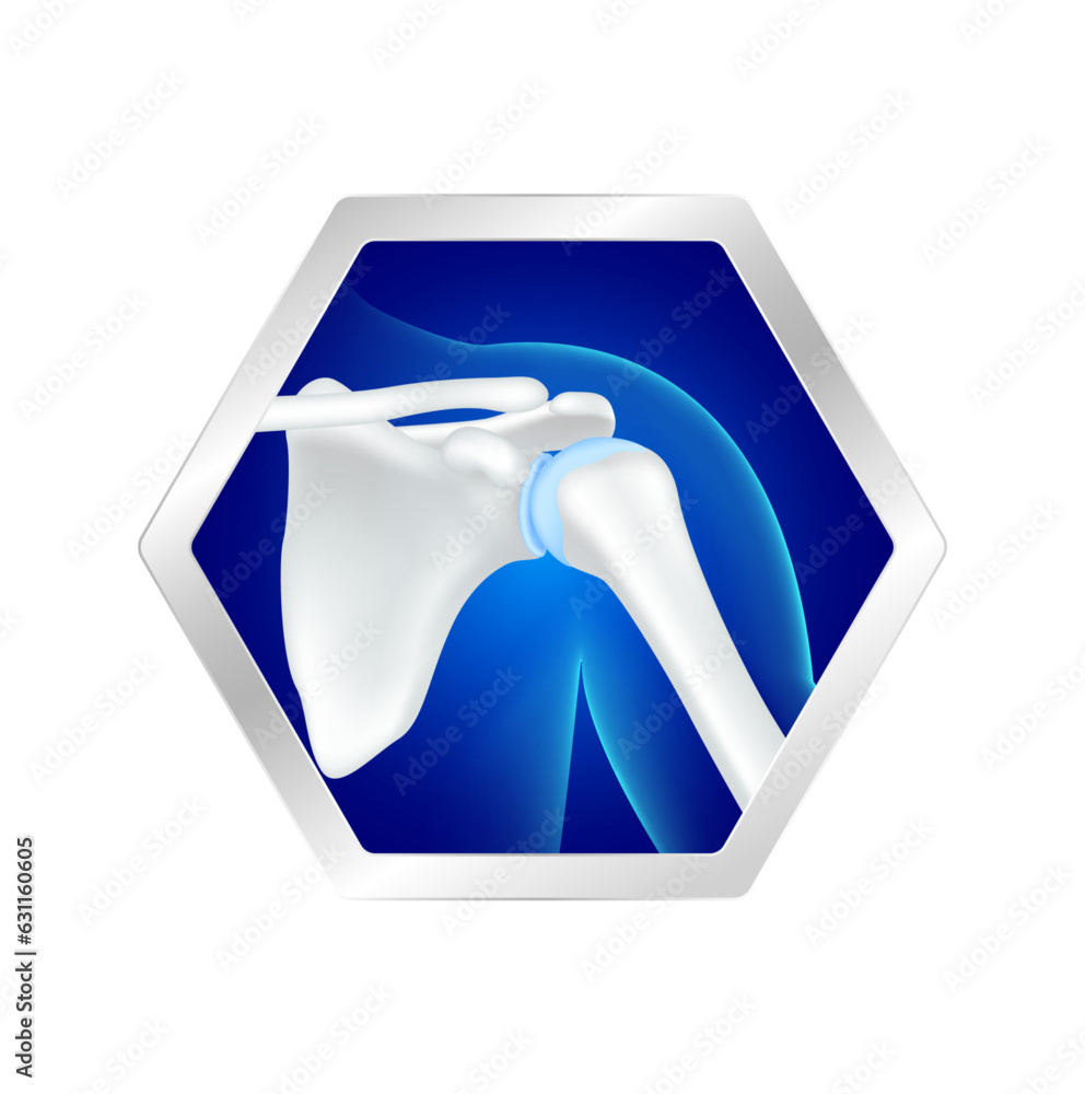 Shoulder bone and joint cartilage in hexagon label aluminum. Human ...
