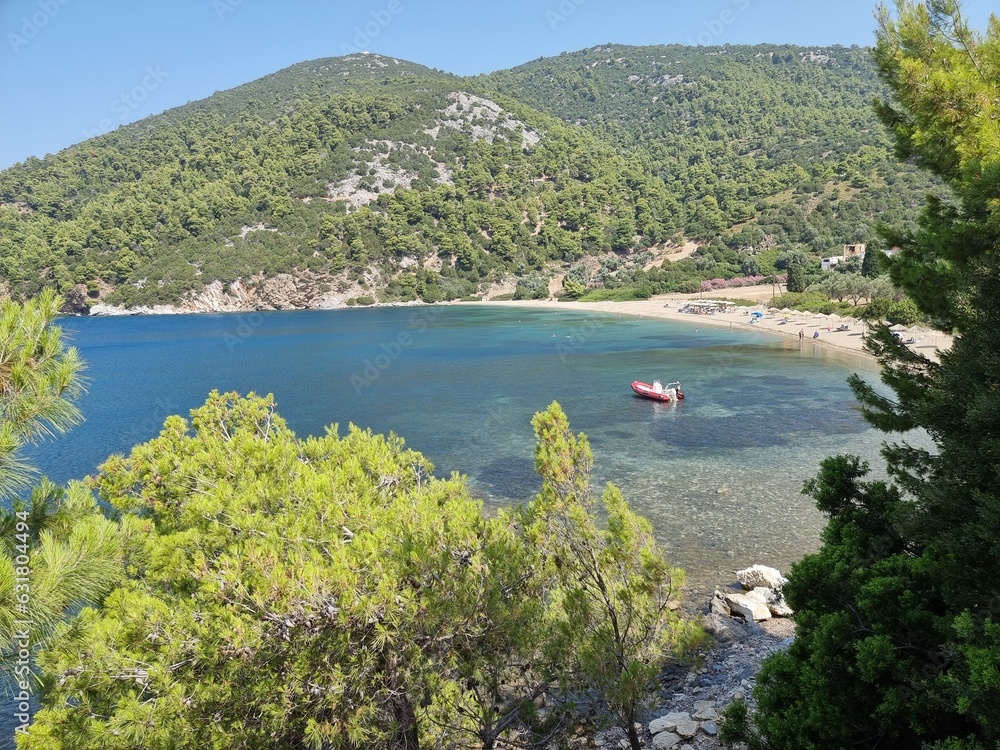 skyros or skiros island, pefkos beach pine trees beside the sea summer ...