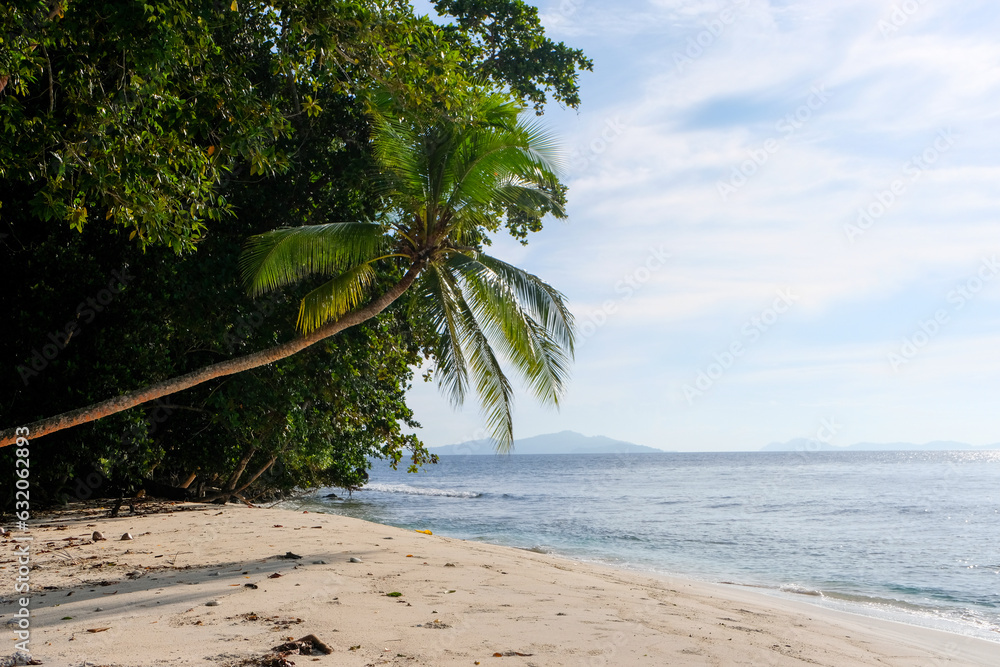Remote tropical island destination in the Solomon Islands with white ...