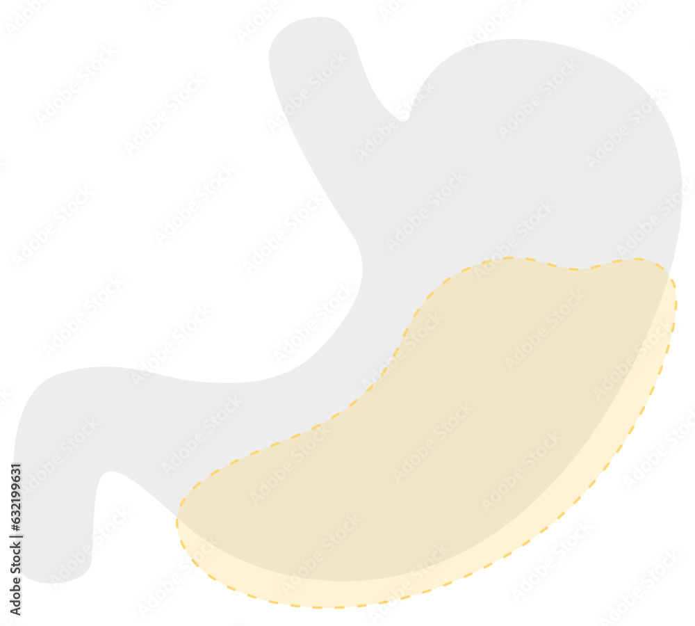 Visceral fat icon, type of obesity. Fat inside the human body that ...
