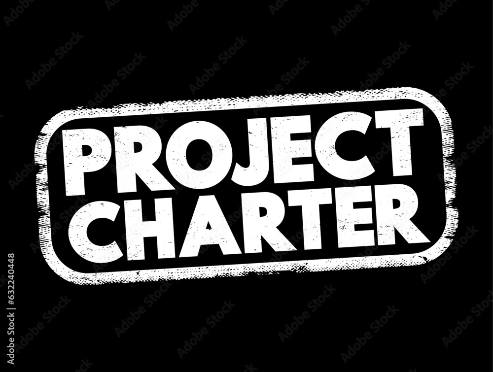 Project charter - statement of the scope, objectives, and participants ...