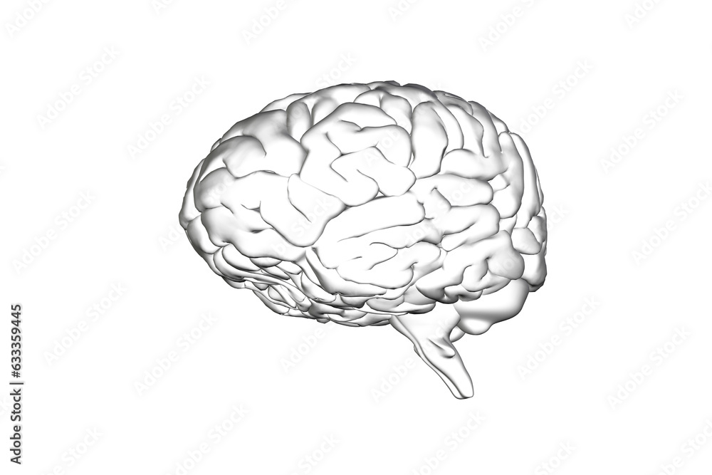 Digital png illustration of transparent brain on transparent background ...