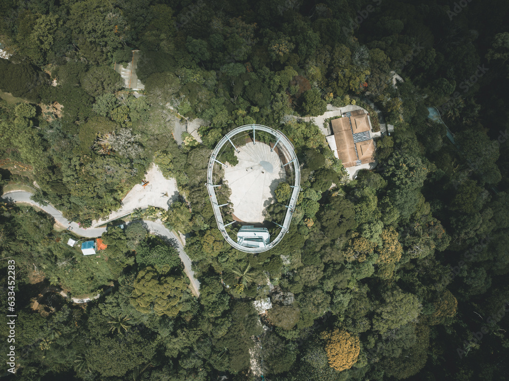 Top down view of Curtis Crest Tree Top Walk - The highest accessible ...