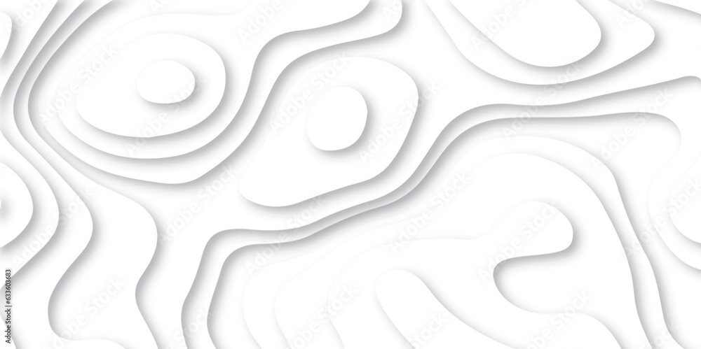 Black and white topography contour lines map isolated on white ...
