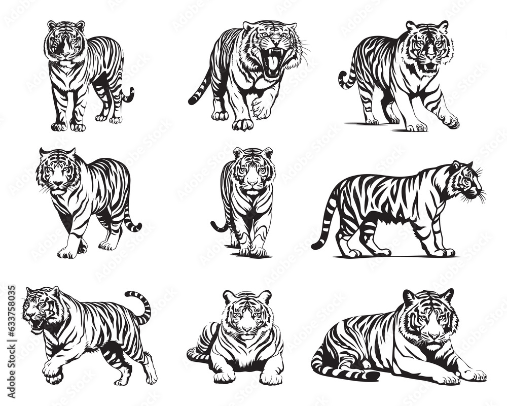 Tigers - wild animals, vector design of tigers isolated on white ...