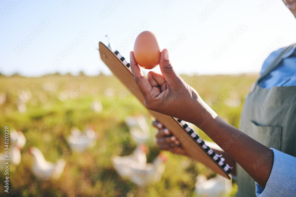 Hand of woman on farm with egg, inspection and chickens, clipboard and ...