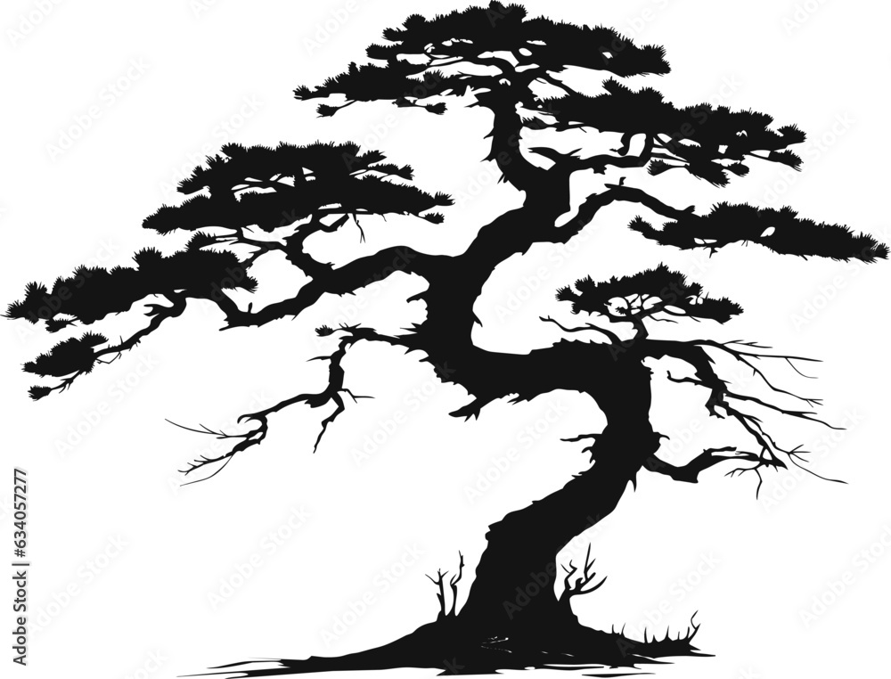 tree pine silhouette, cypress evengreen vector, cedar forest wood ...
