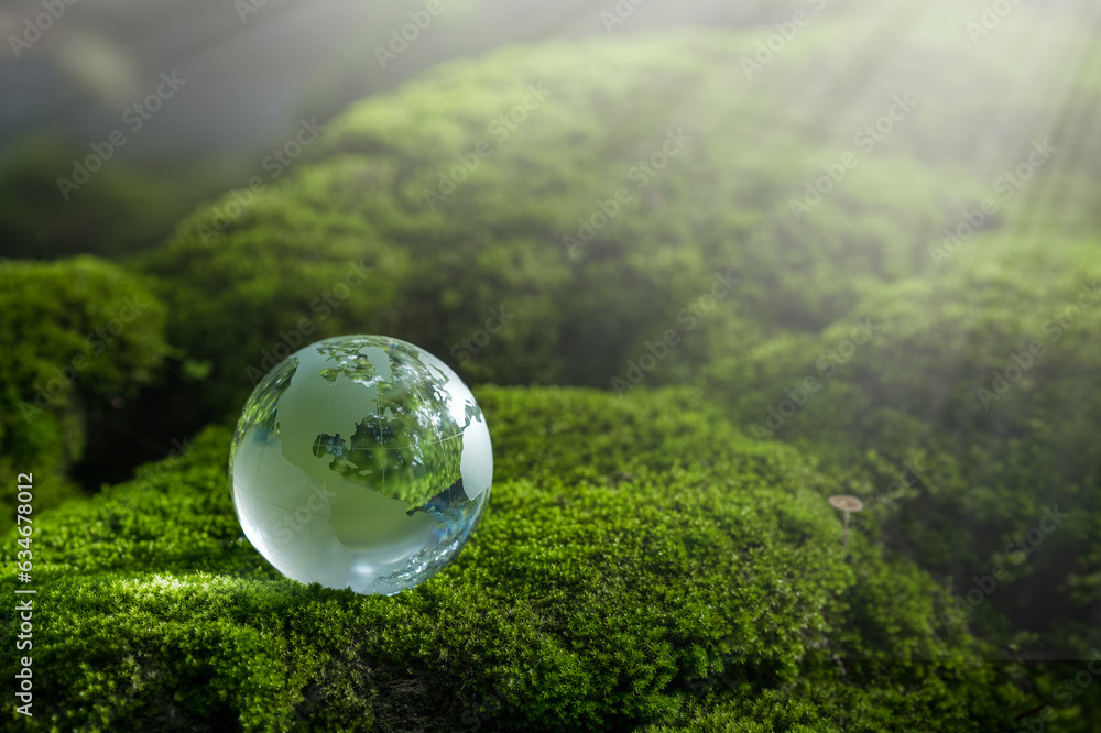 Environmental concept - Crystal Earth on forest moss with fern and ...