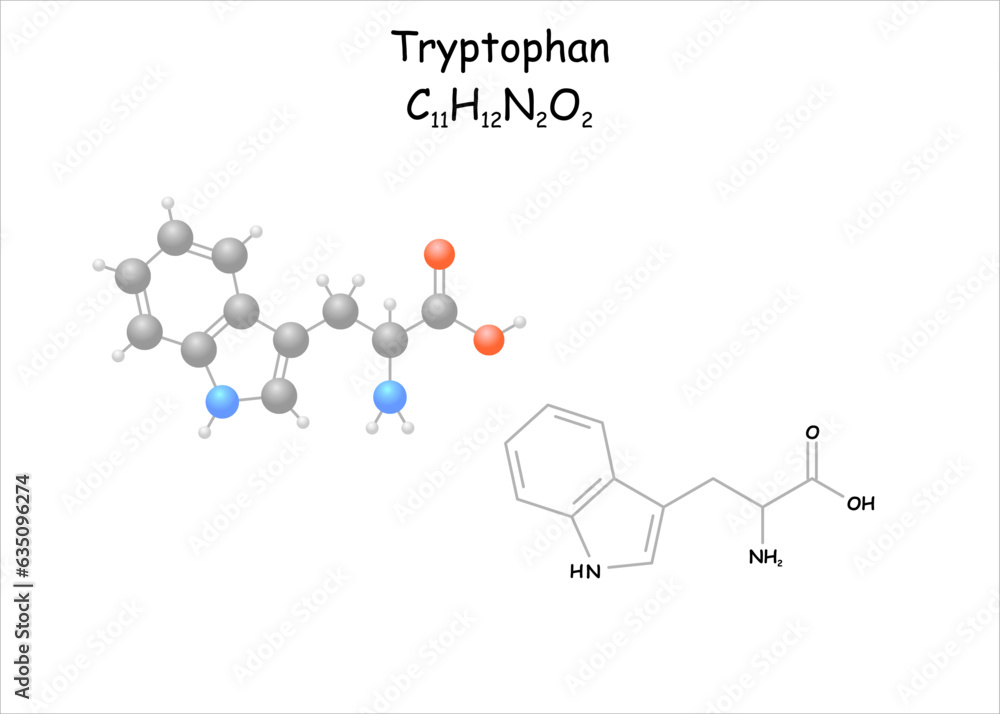 Stylized molecule model/structural formula of the essential amino acid tryptophan. Stock Vector ...