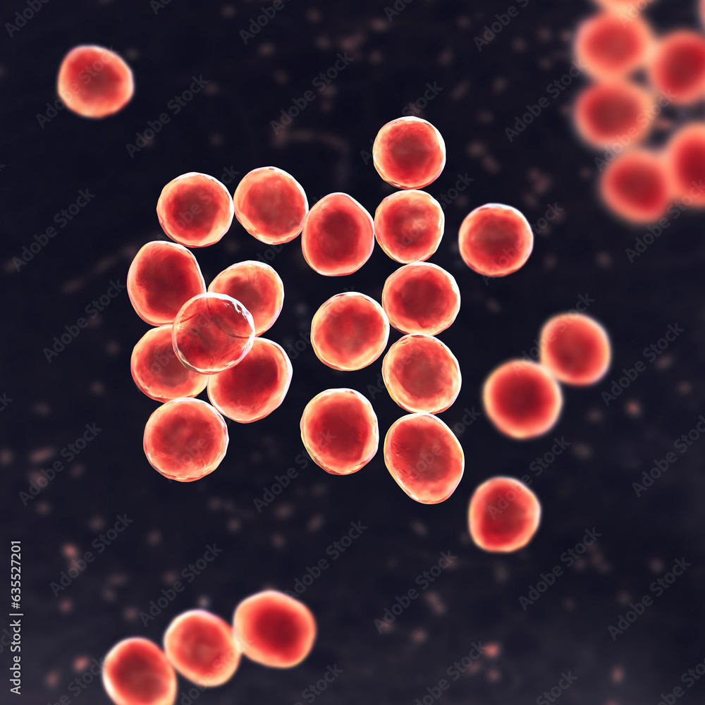 Staphylococcus bacteria, 3D illustration. Stock Illustration | Adobe Stock