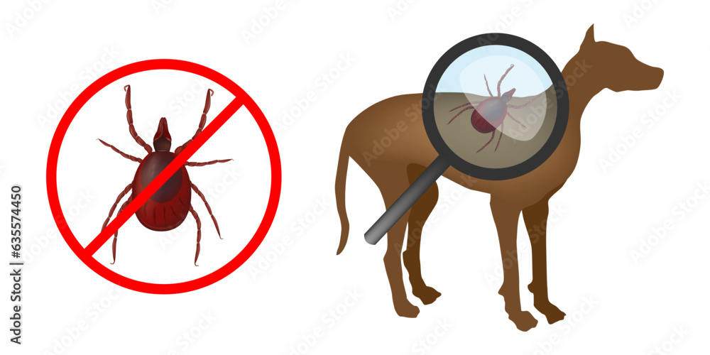 Ticks On Dogs. Canine tick-borne infections. Tick Bites. Vector ...