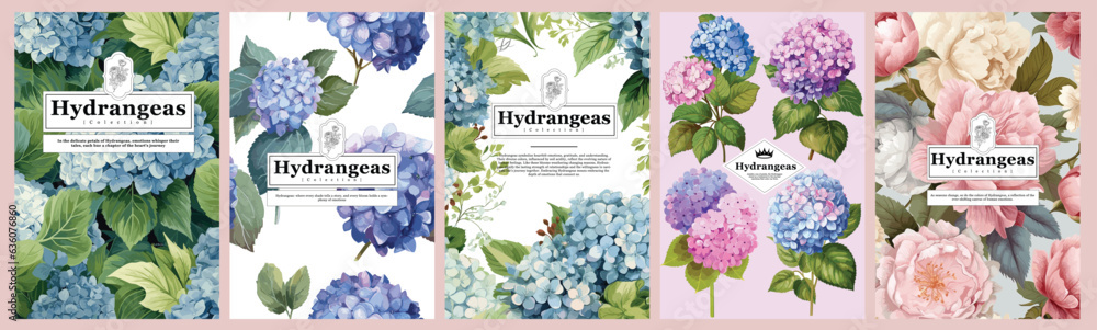 Set of Elegant Hydrangeas, Realistic Vector Illustrations of Flowers ...