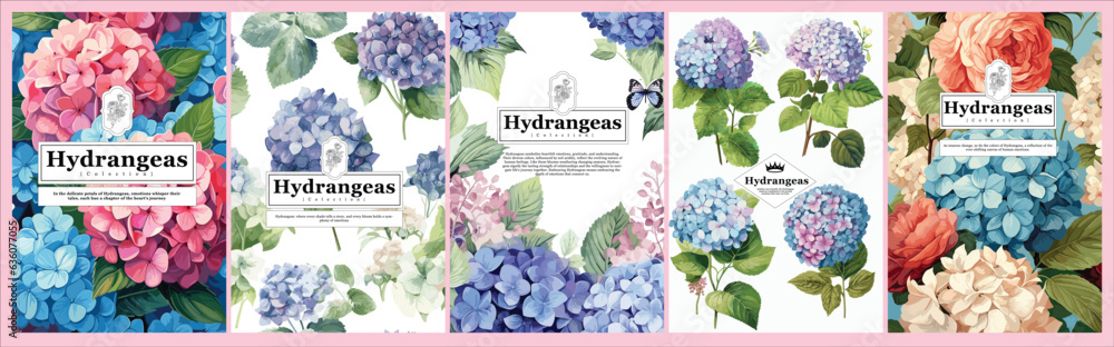 Set of Elegant Hydrangeas, Realistic Vector Illustrations of Flowers ...