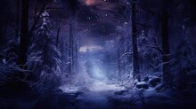 Spooky Night Winter Forest Free Stock Photo - Public Domain Pictures