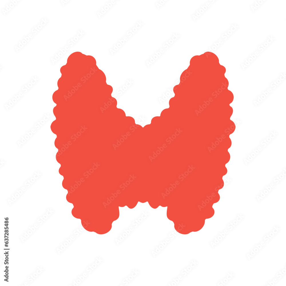 Vector de Stock Thyroid gland lobes icon. Faceless body silhouette. Thyroid hormones function ...